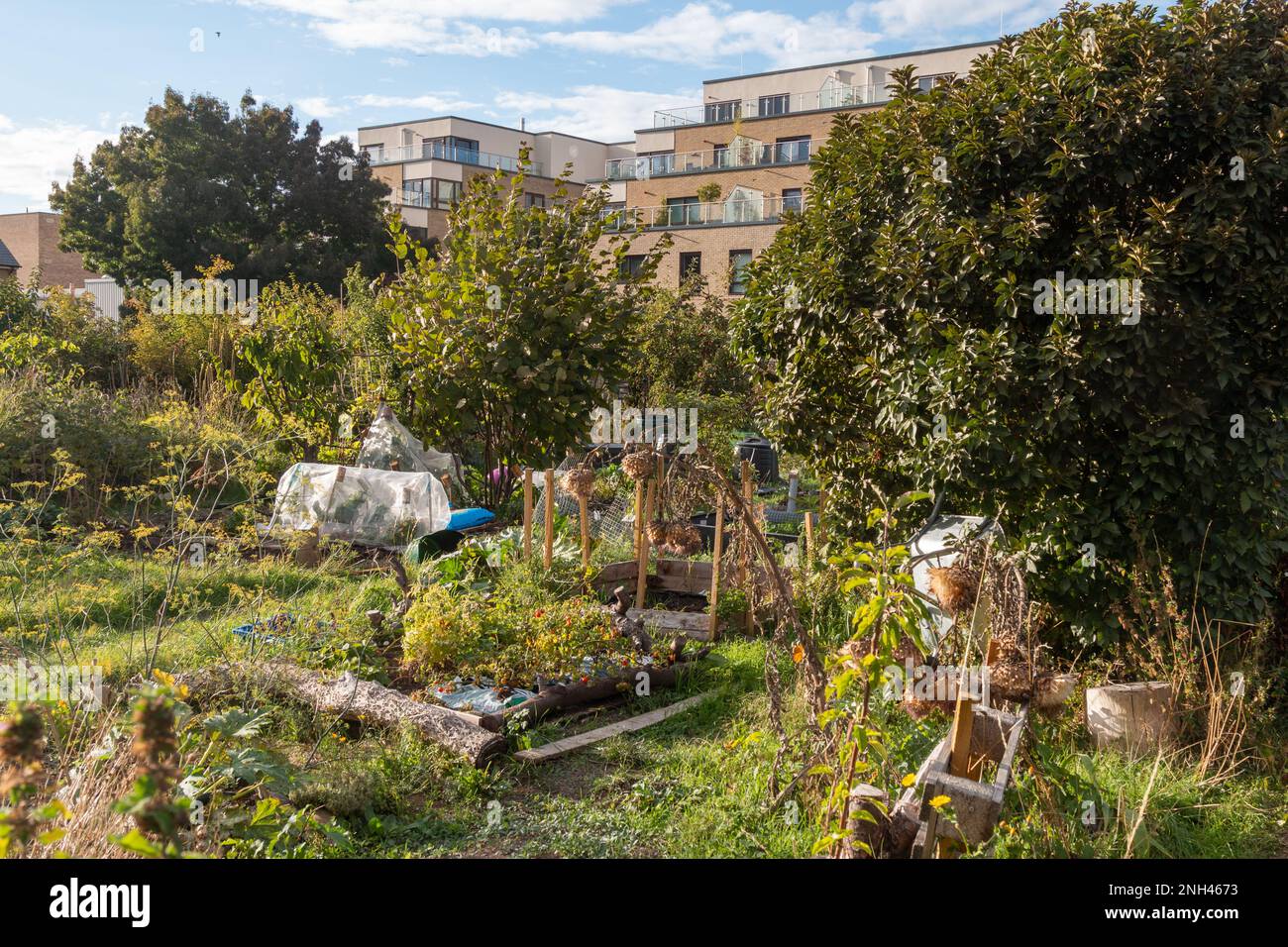 Scruffy town hi-res stock photography and images - Alamy