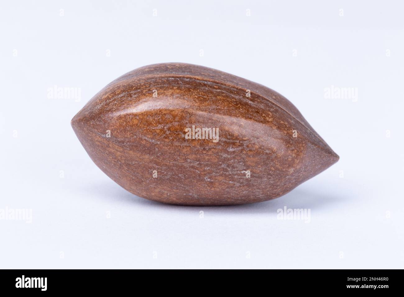 One whole Pecan nut on a white background Stock Photo - Alamy