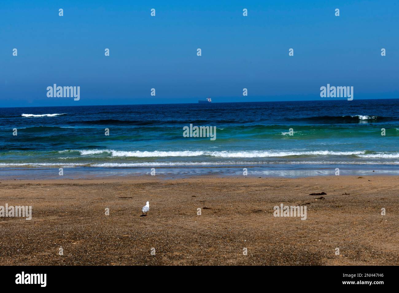 Low tide sea waves at Caves Beach NSW, Australia (Photo by Tara Chand ...