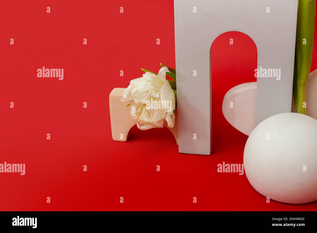 Podiums with white tulip on red background. Hello spring Stock Photo ...