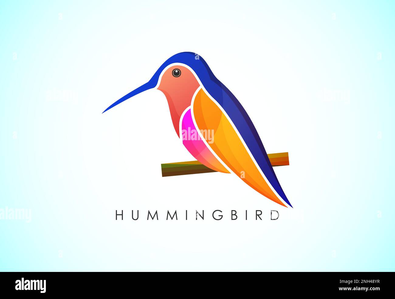 Modern colorful Hummingbird logo design template vector illustration ...