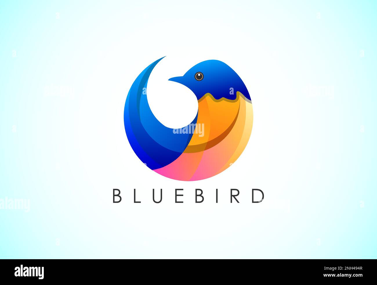 Modern colorful Bluebird logo design template vector illustration Stock ...