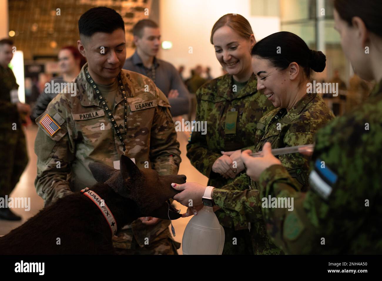 K9 diesel hi-res stock photography and images - Alamy