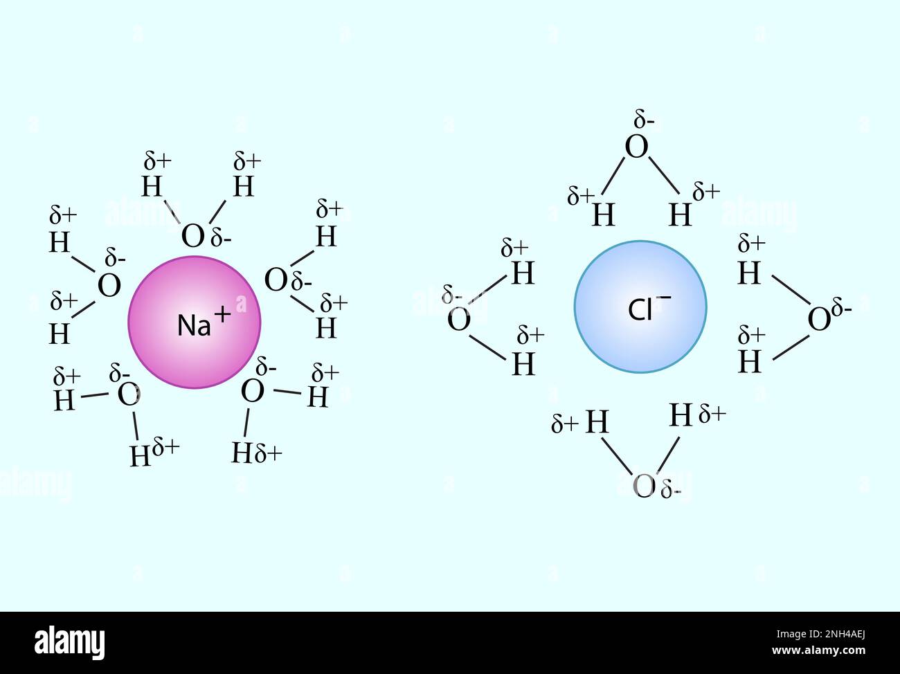 Chemical structure of Na+ and Cl Stock Vector Image & Art - Alamy