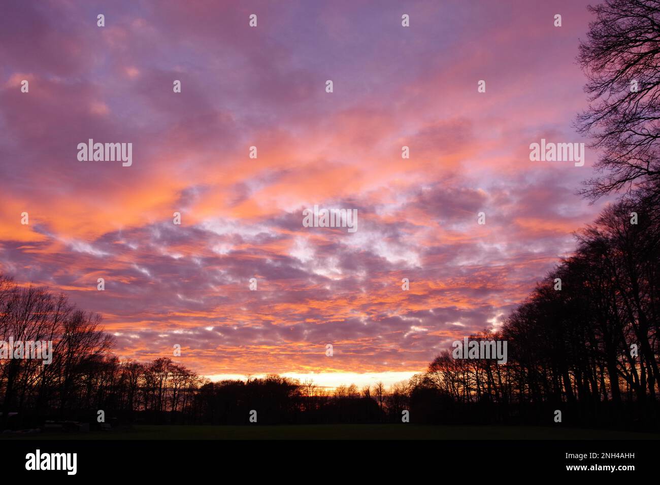 Landscape, sky, horizon, clouds, colours, evening, sunset, orange, pink ...