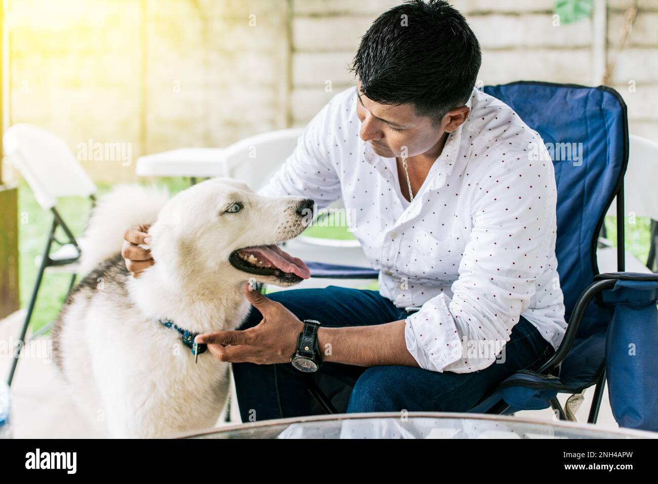 Guy sitting playing with his husky dog. Young man sitting petting his ...