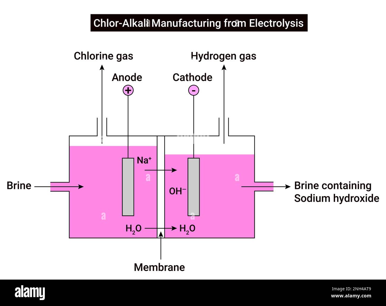 Urey Stock Vector Images - Alamy