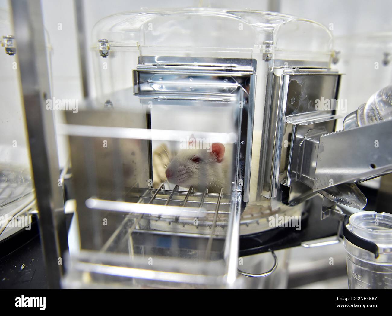 Institute of Cytology and Genetics SB RAS. Scientists from the ...