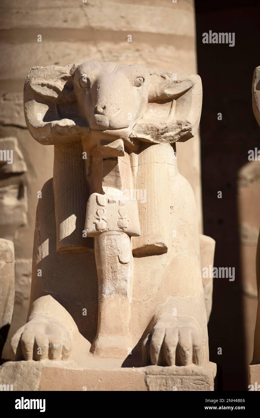 Statue in karnak hi-res stock photography and images - Alamy