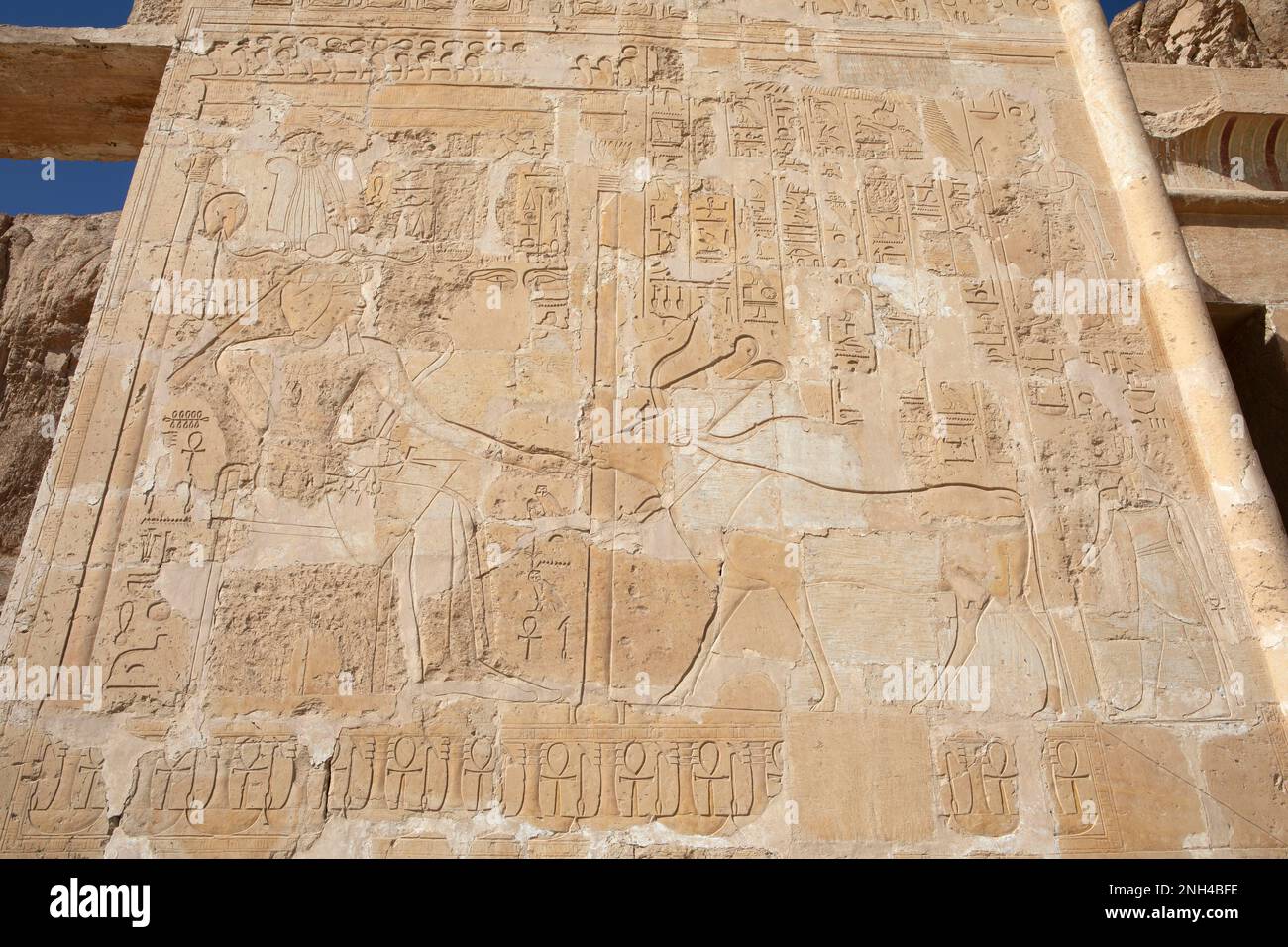 Temple of hatshepsut drawing hi-res stock photography and images - Alamy