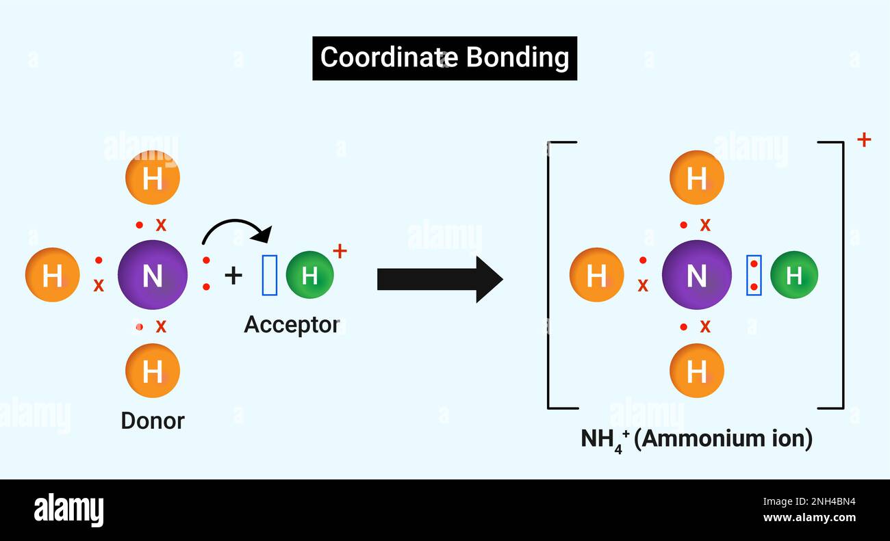 Coordinate Bonding Octet Of One Atom Should Be Complete And Should
