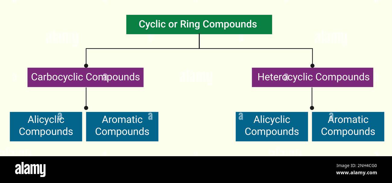 Flow chart of Cyclic or Ring Compounds Stock Vector Image & Art - Alamy