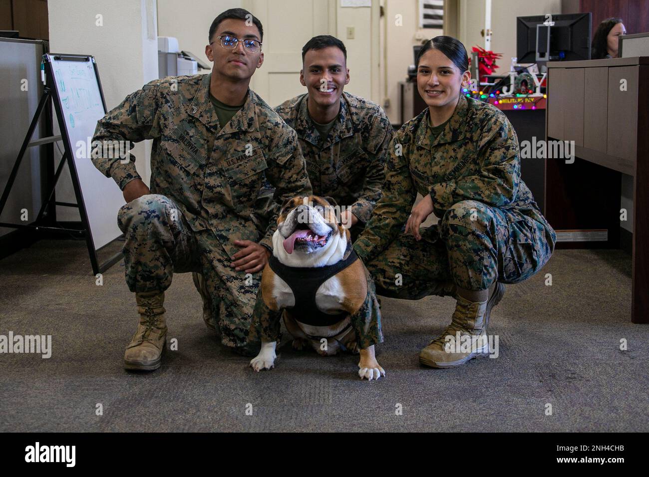 U.S. Marine Corps Cpl. Manny, the mascot of Marine Corps Recruit Depot ...