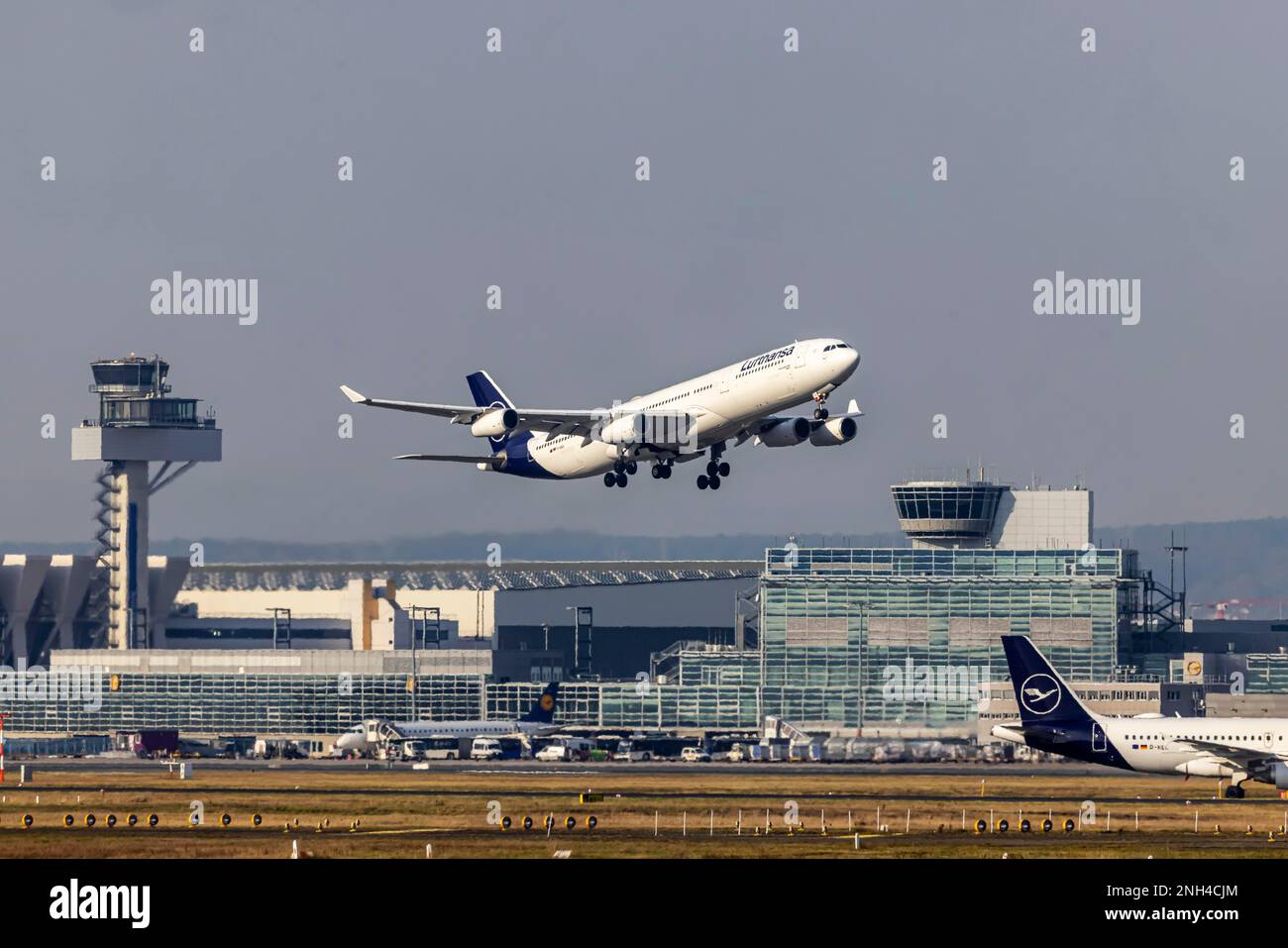 Lufthansa airbus a340 take off hi-res stock photography and images - Alamy
