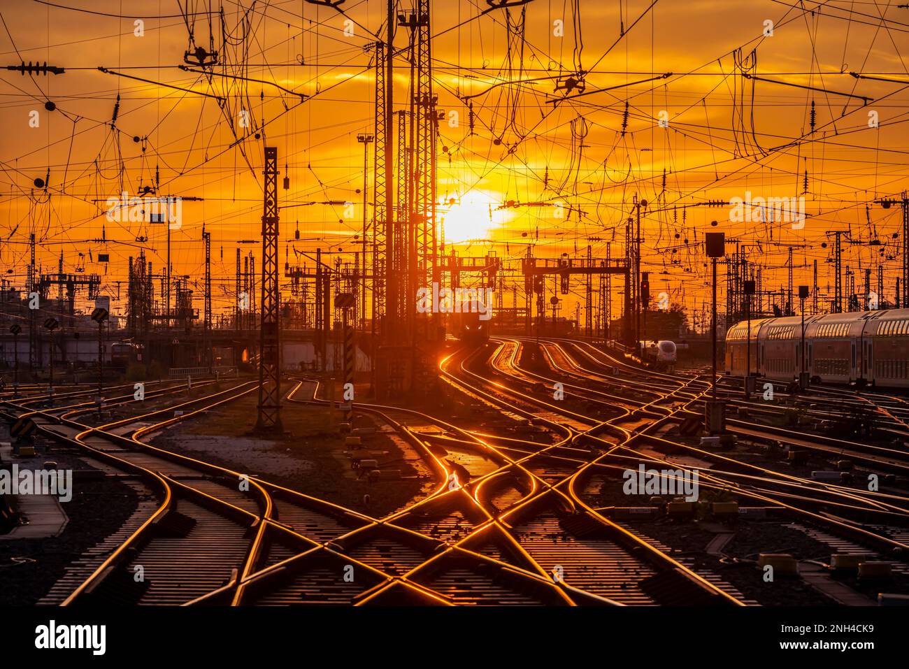 Main station with track apron, arriving trains at sunset, Frankfurt am ...
