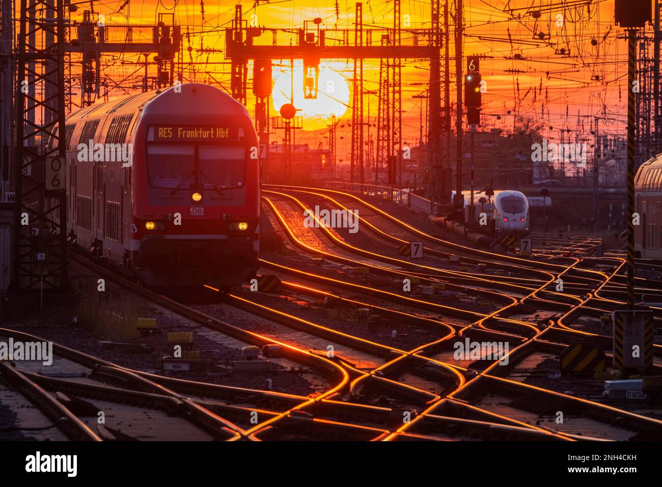 Main station with track apron, arriving trains at sunset, Frankfurt am ...