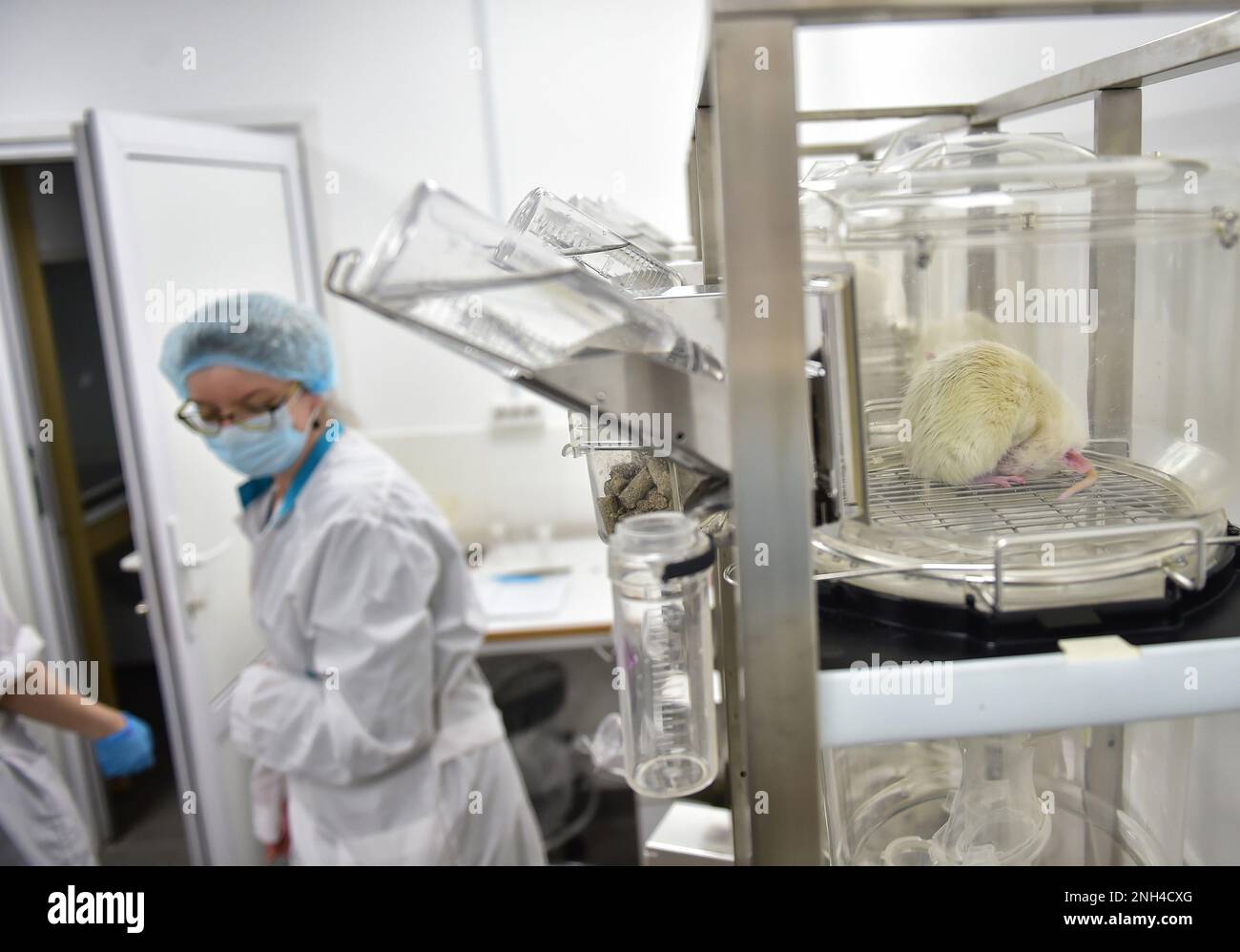 Institute of Cytology and Genetics SB RAS. Scientists from the ...