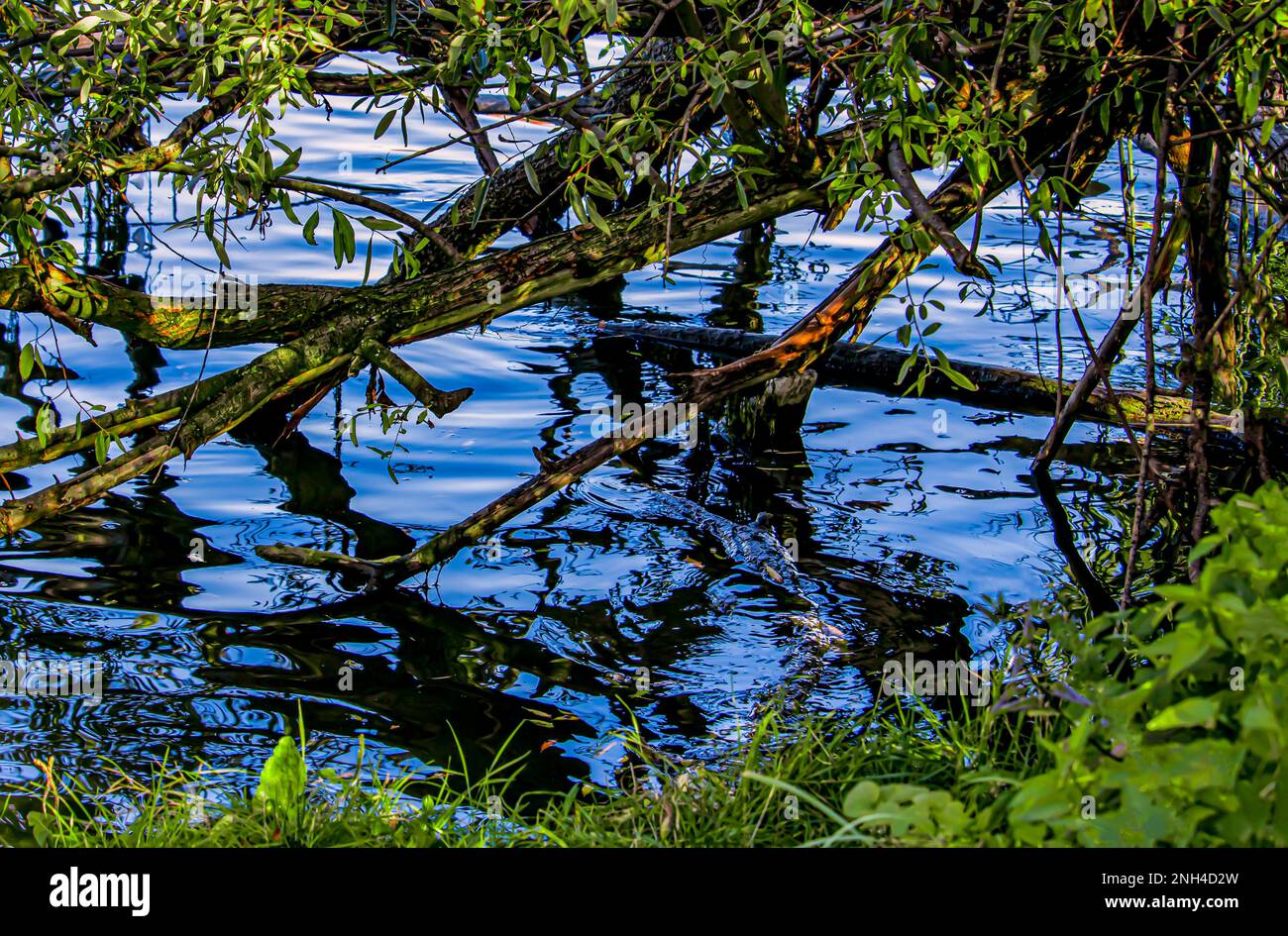 River backgrounds hi-res stock photography and images - Alamy