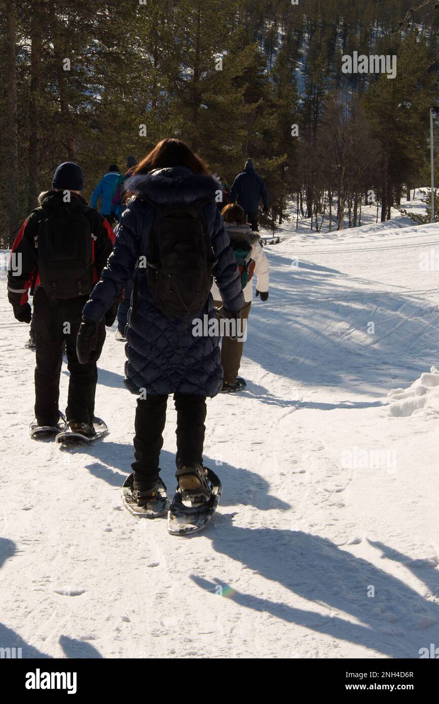Group of unrecognizable people walking in a row with snow rackets. Seen ...
