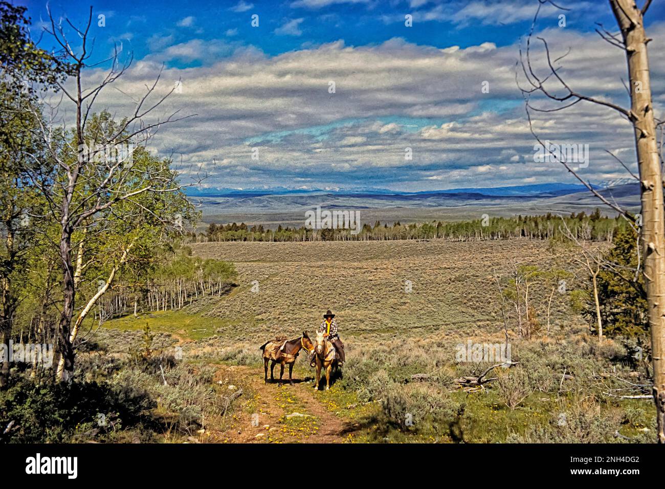 Mountainous area north hi-res stock photography and images - Alamy