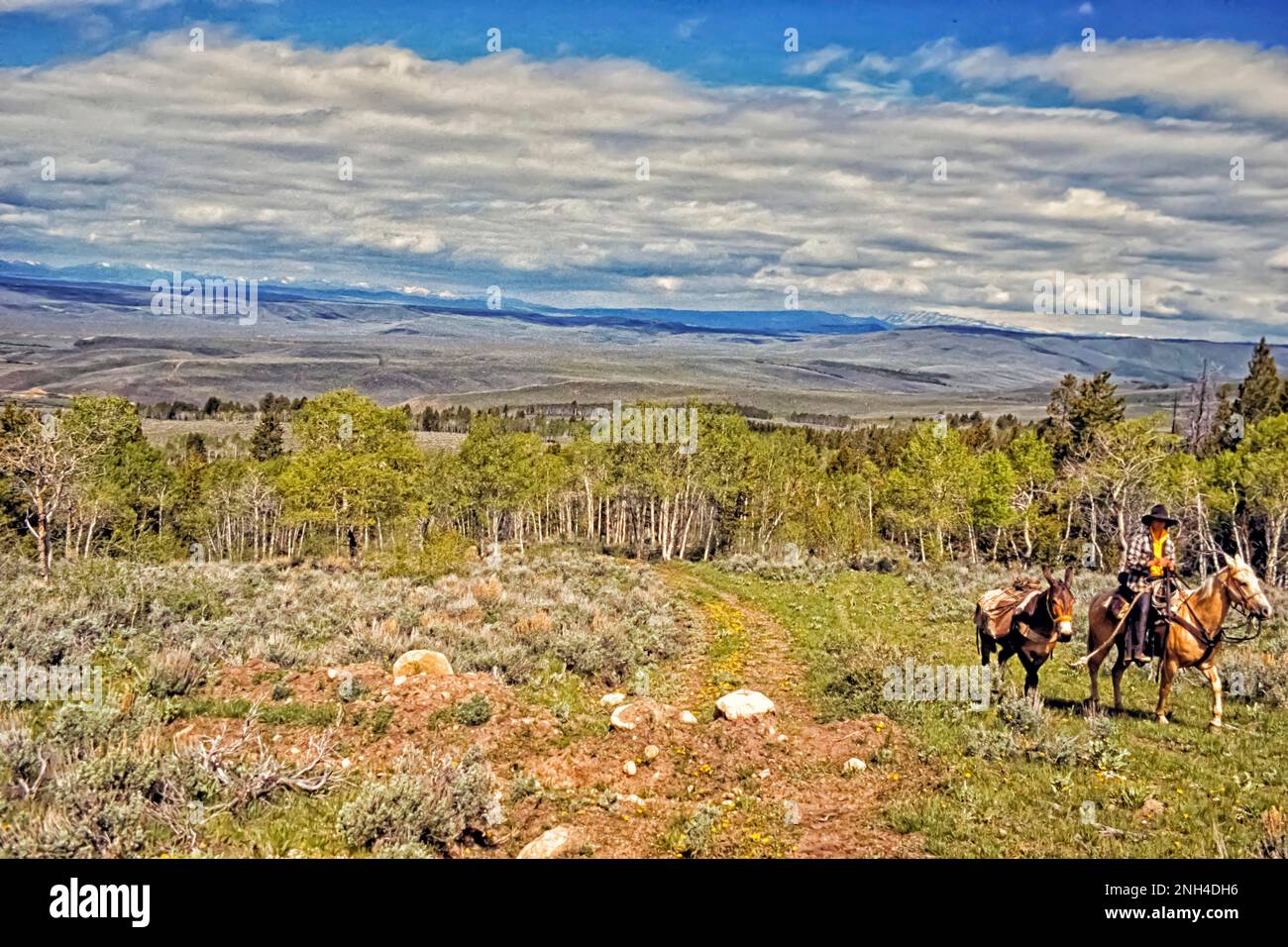 Cowboy wyoming hi-res stock photography and images - Alamy