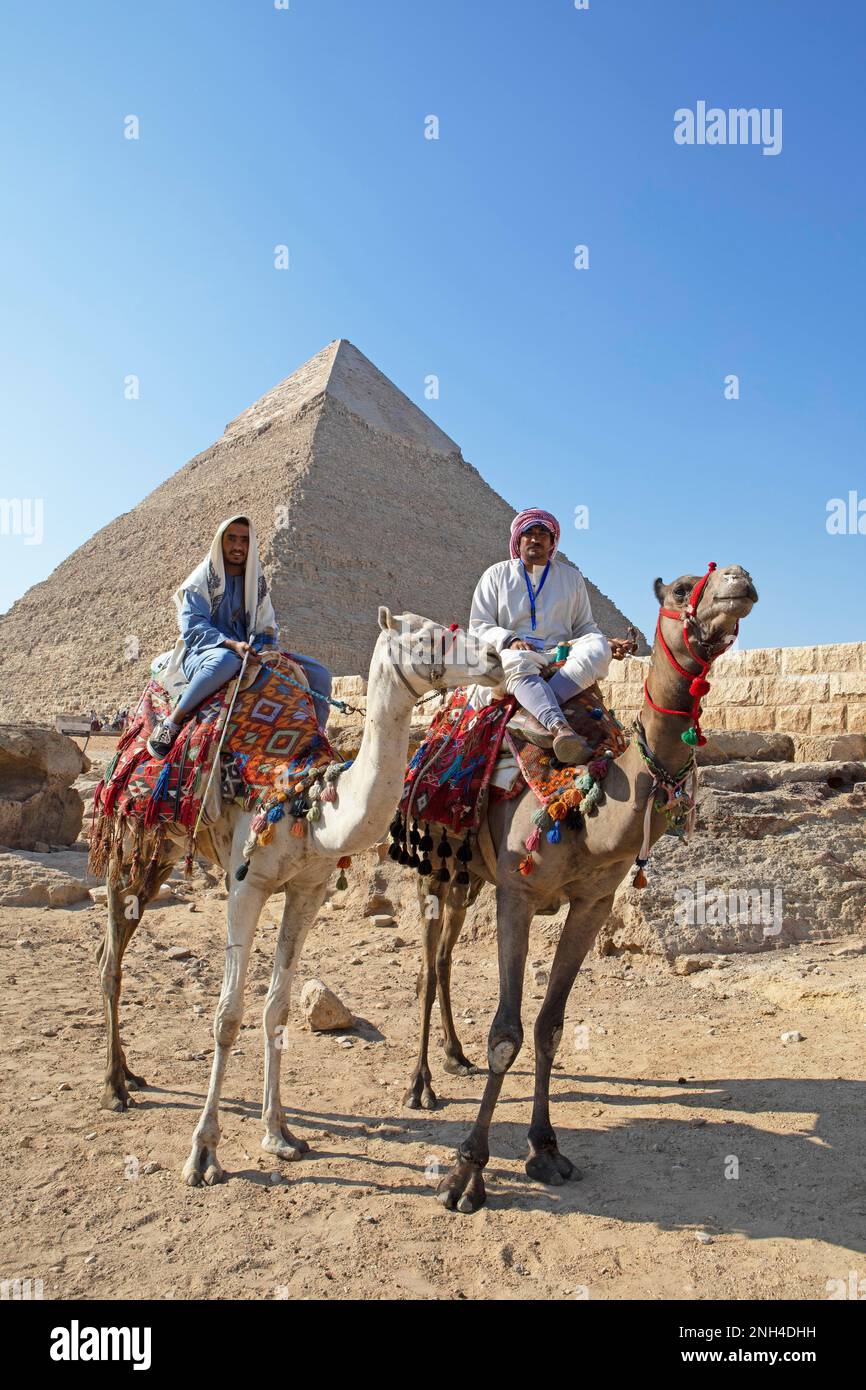 Egyptian men on camelid (Camelidae), behind a pyramid, Giza, Cairo ...