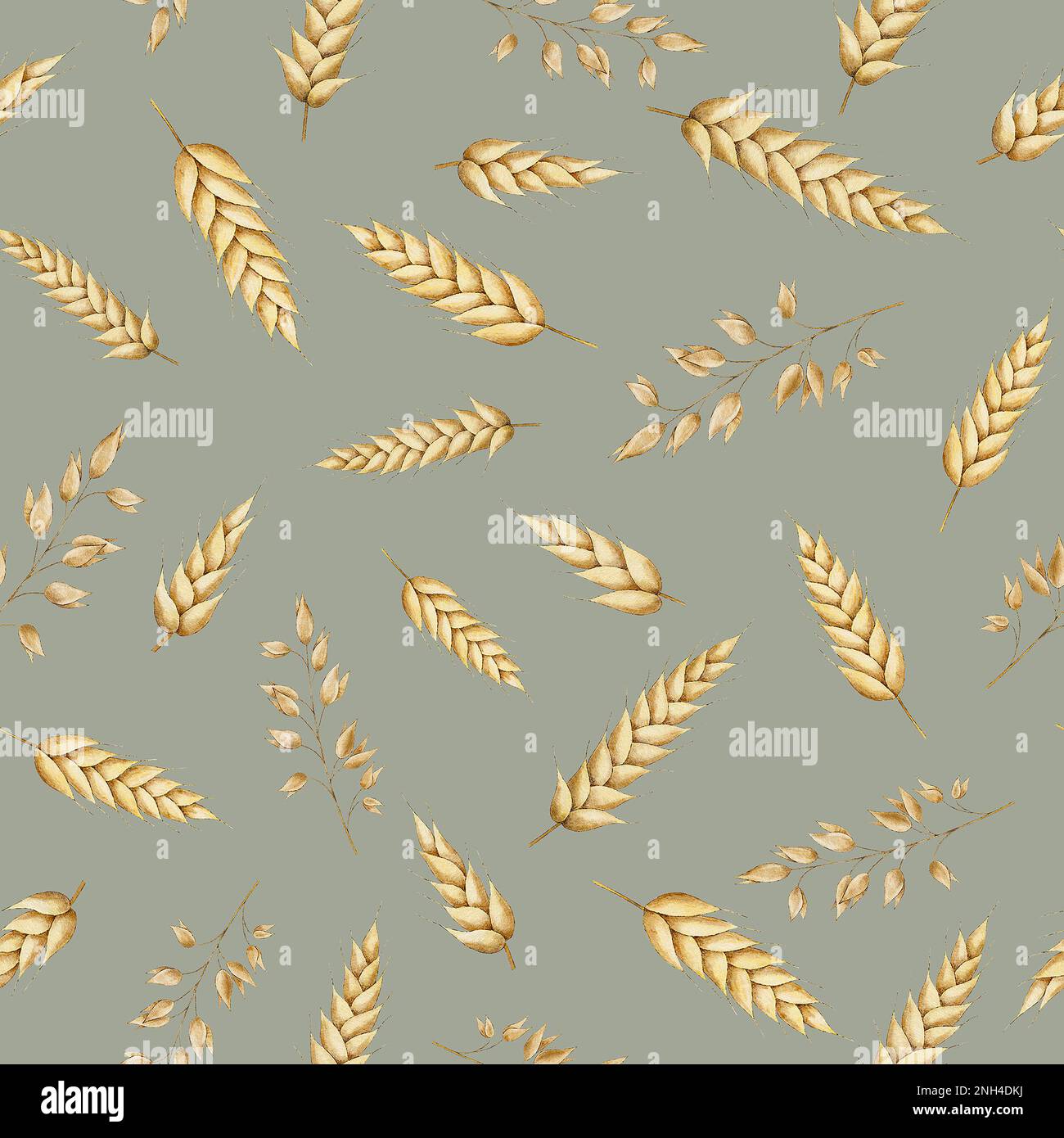 Watercolor seamless pattern with oats, ear of wheat. Bakery ...