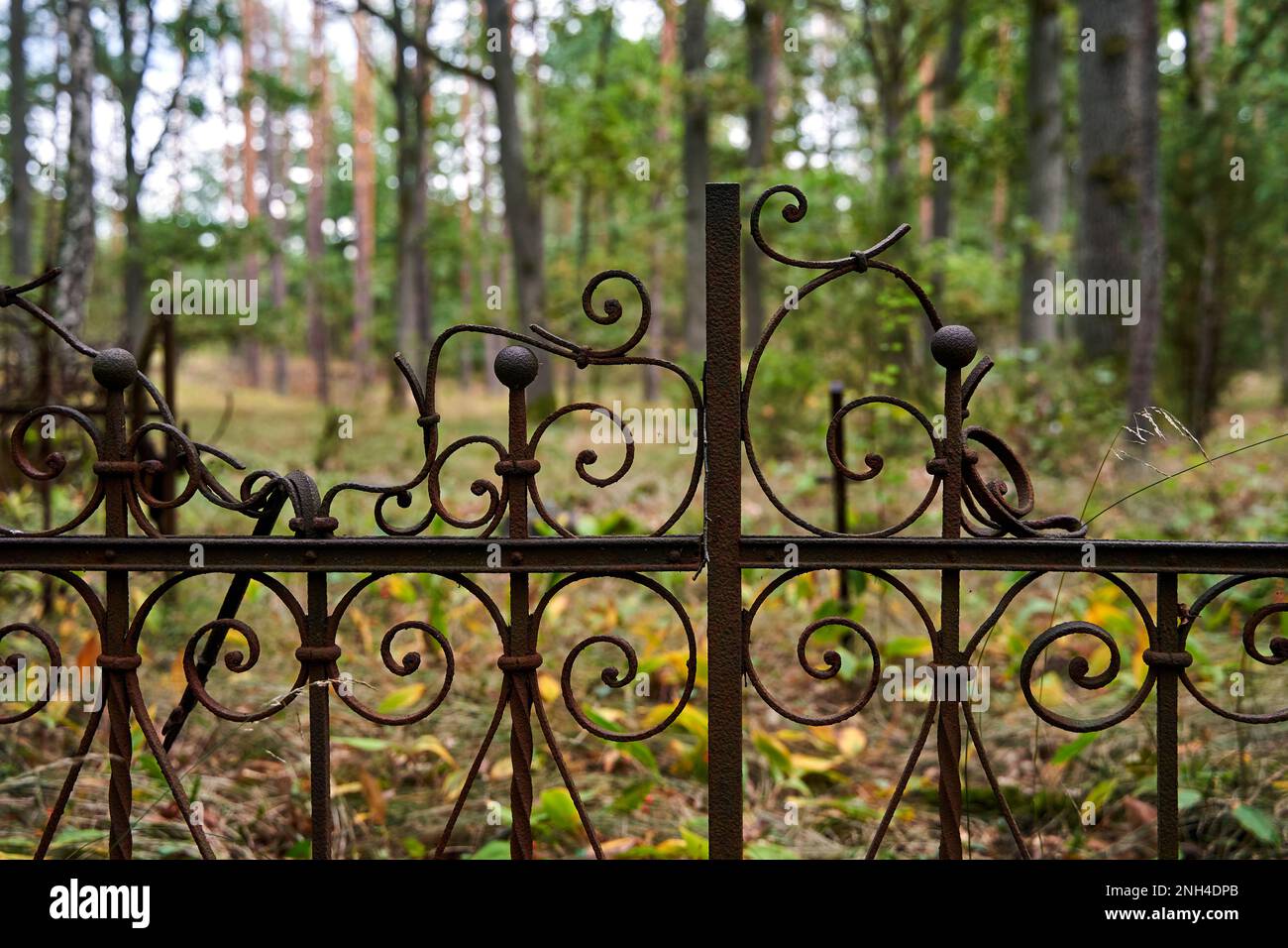 Old metal fence of an abandoned cemetery in a forest in Poland Stock ...