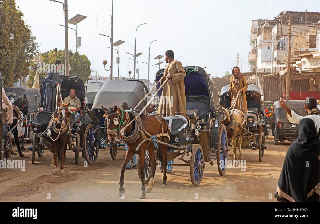 Horse-drawn carriages on the main street in Edfu, Egypt Stock Photo - Alamy