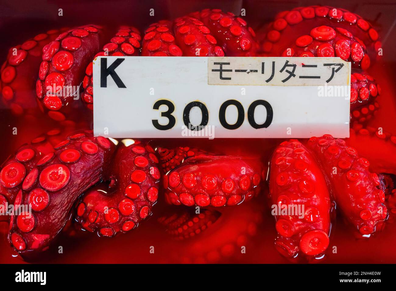 Tokyo Japan. Fish Market. Octopus in bloody water Stock Photo - Alamy