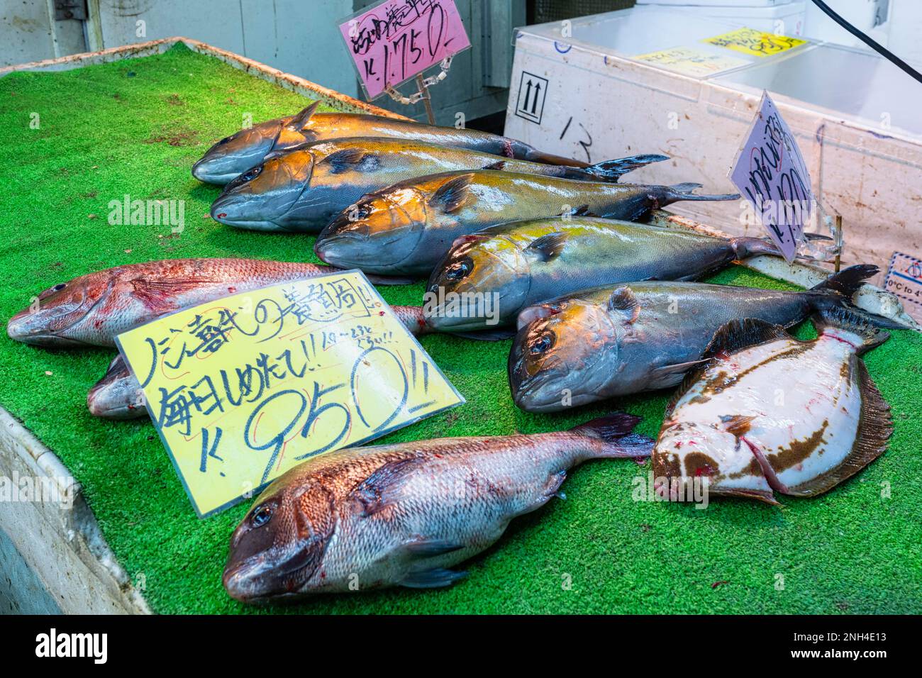 Tokyo Japan. Fish Market Stock Photo - Alamy