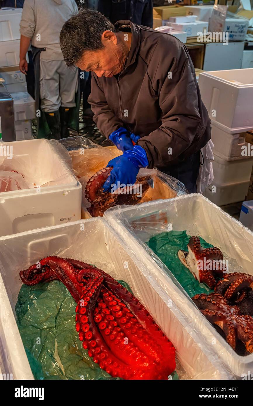 Tokyo Japan. Fish Market. Fishmonger cleaning an octopus Stock Photo ...