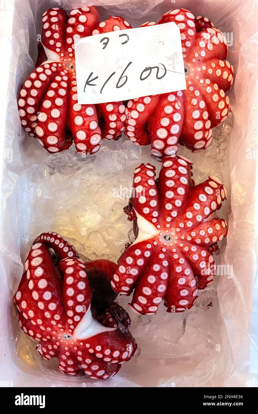Tokyo Japan. Fish Market. Octopus Stock Photo - Alamy
