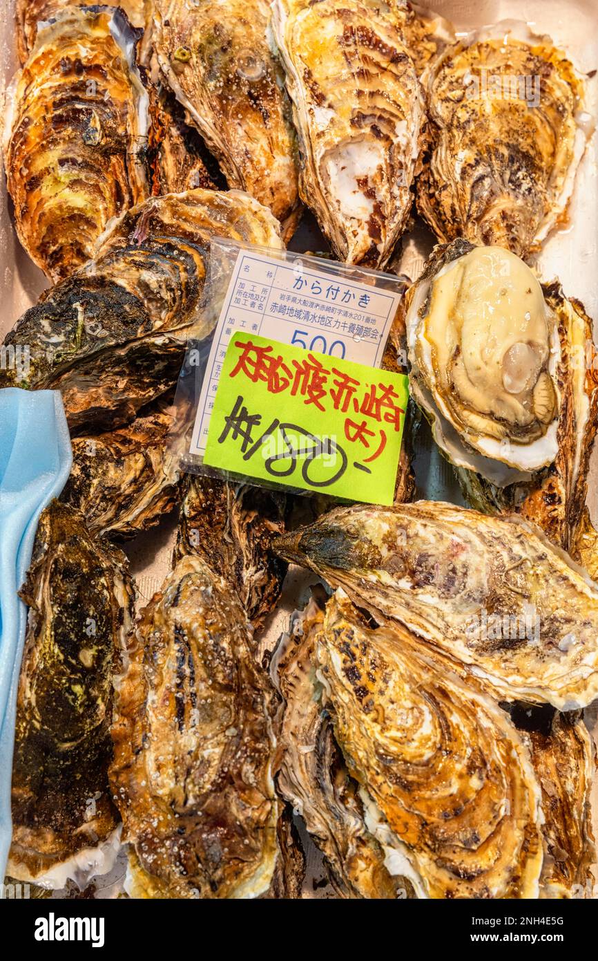 Tokyo Japan. Fish Market. Oysters Stock Photo - Alamy