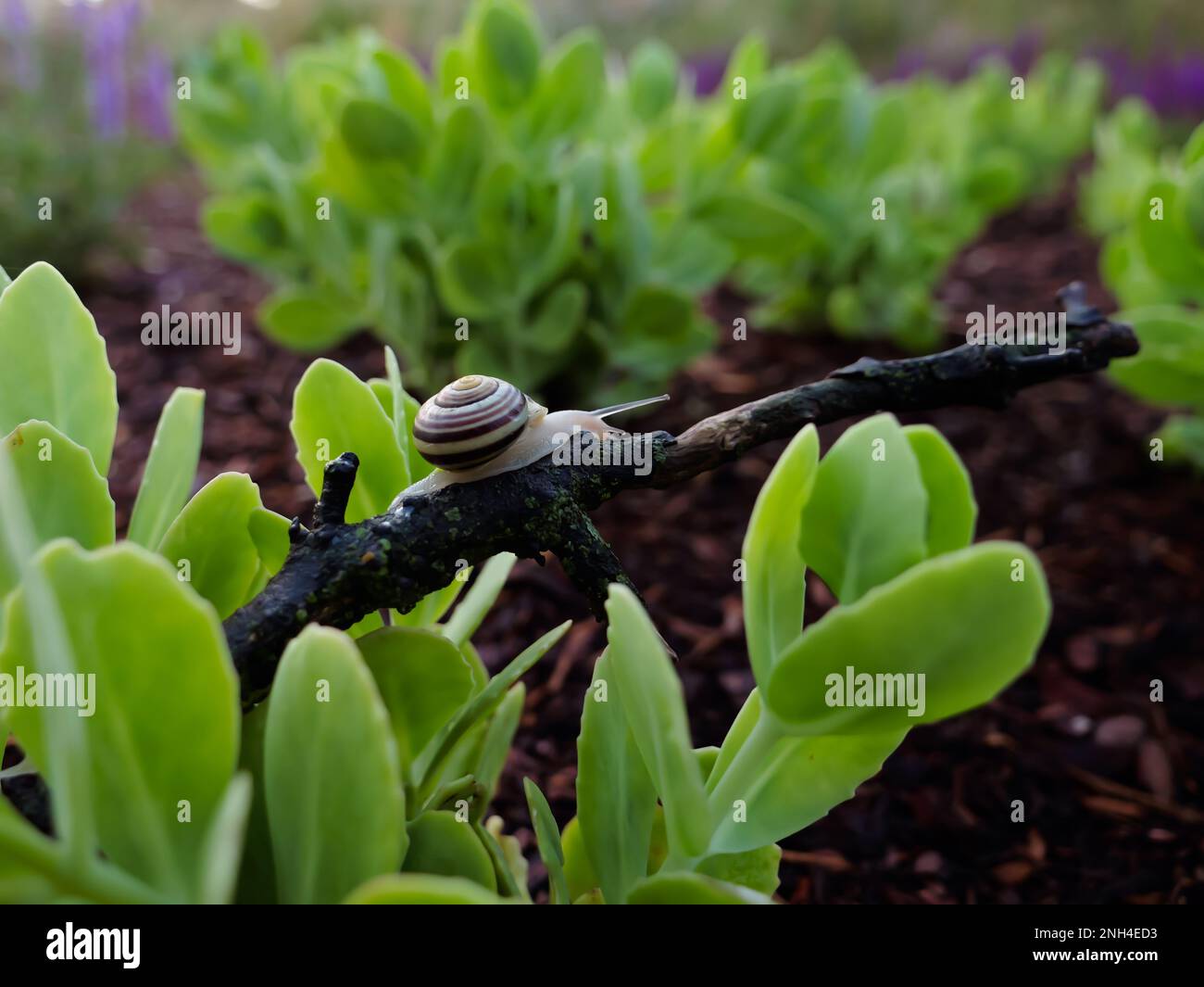 Make up stick hi-res stock photography and images - Alamy