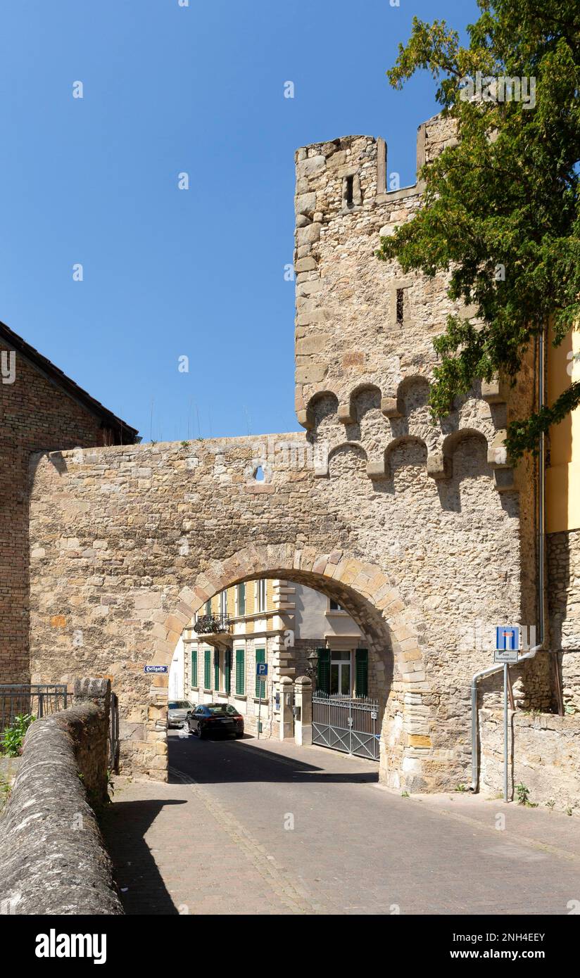 Archway of the medieval town fortification on Hellgasse, Alzey ...