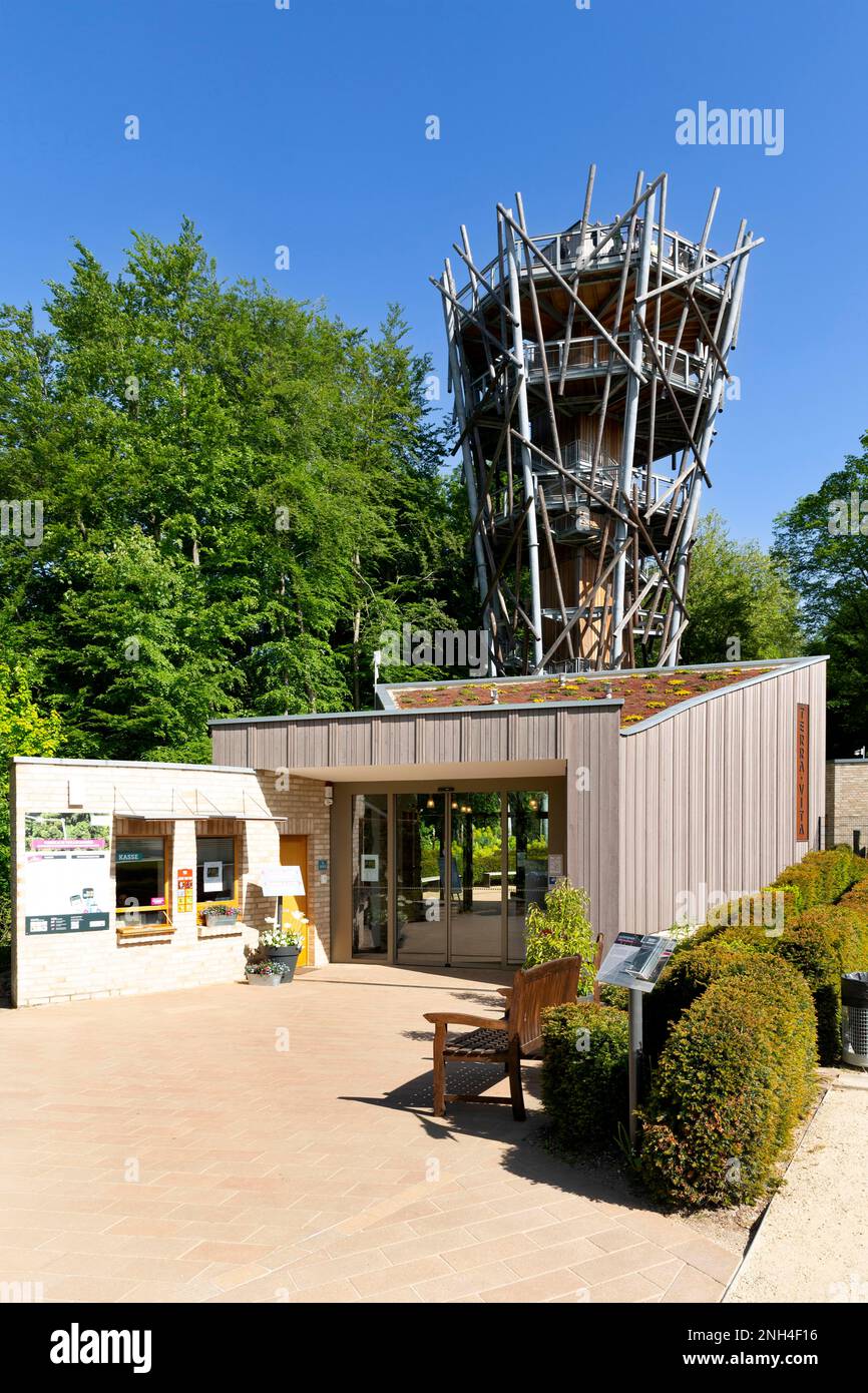 Treetop path, observation and access tower, State Horticultural Show ...