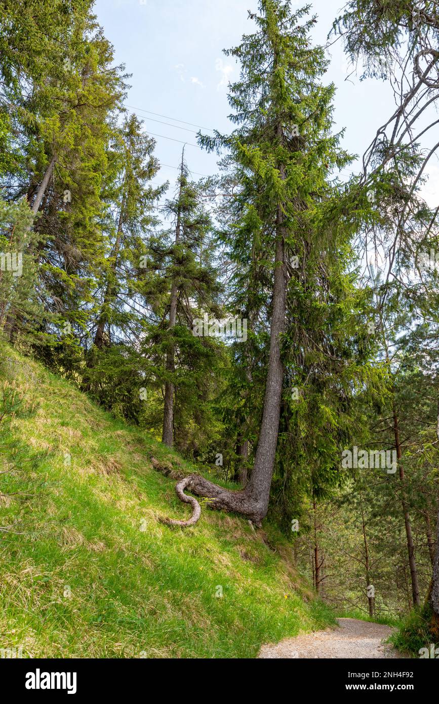 Roadside path pathway hi-res stock photography and images - Alamy