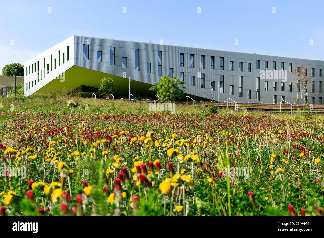 Study campus hi-res stock photography and images - Alamy