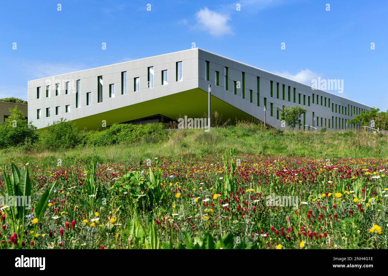 University study hall hi-res stock photography and images - Alamy