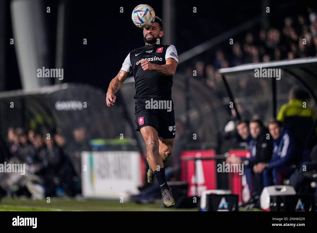 Rein van helden hi-res stock photography and images - Alamy