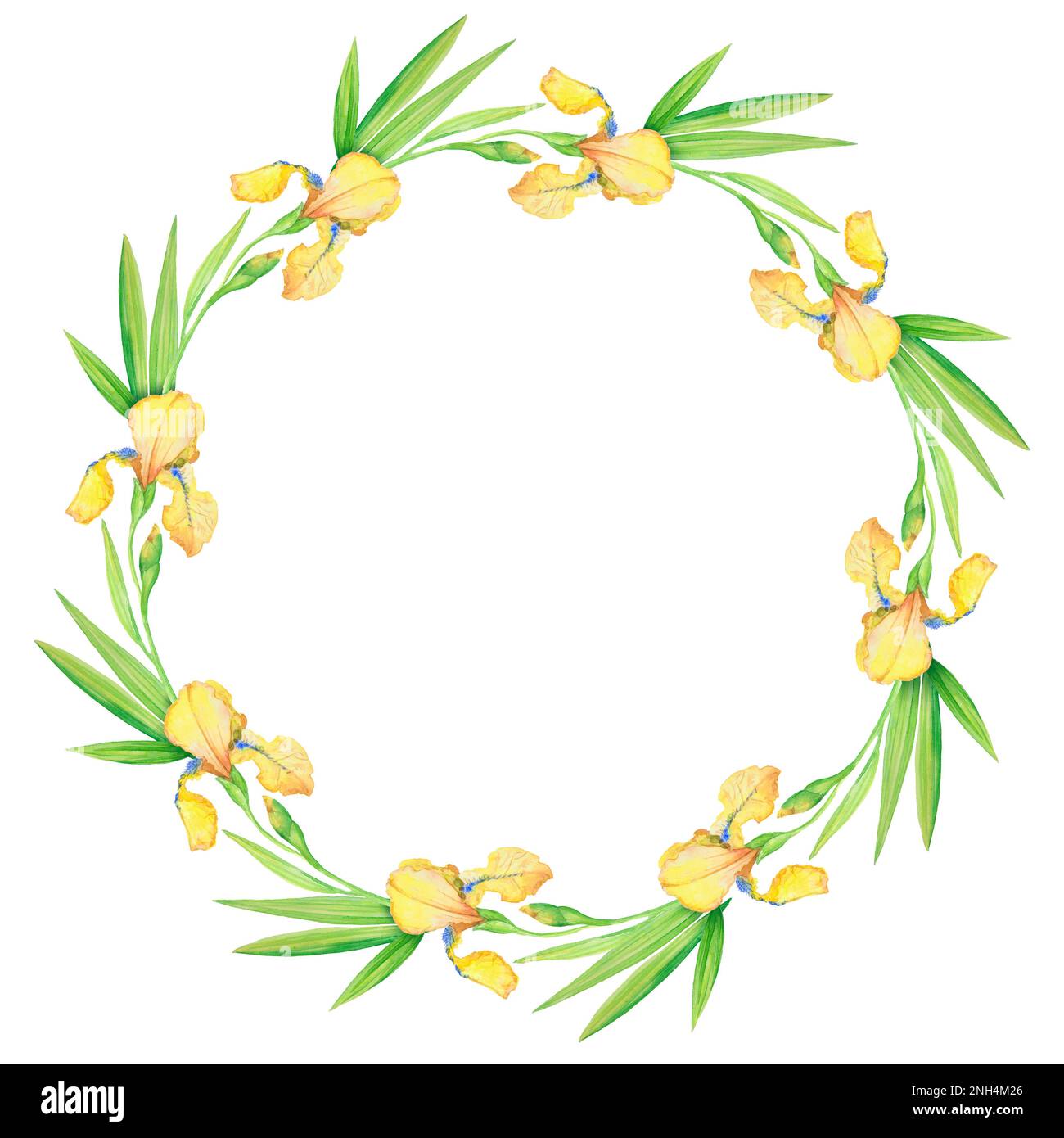 Yellow irises, beautiful delicate wreath of flowers and leaves ...