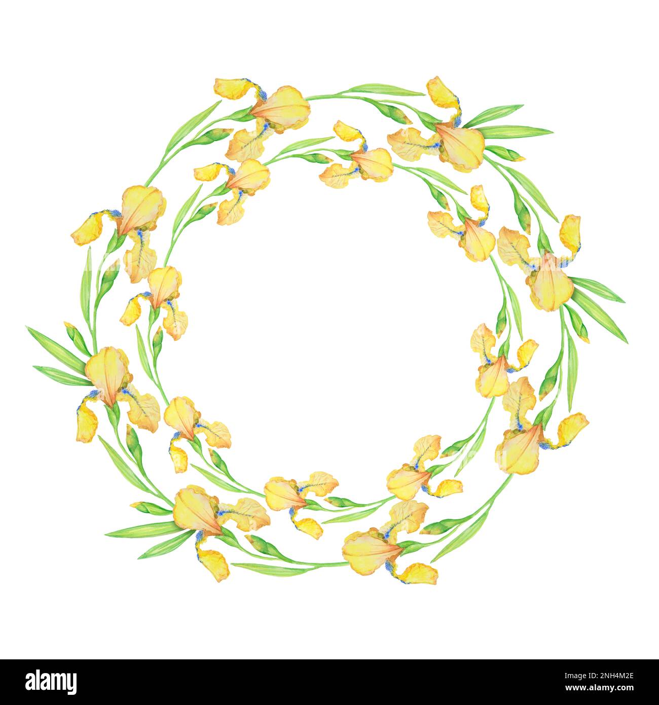 Yellow irises, beautiful delicate wreath of flowers and leaves ...