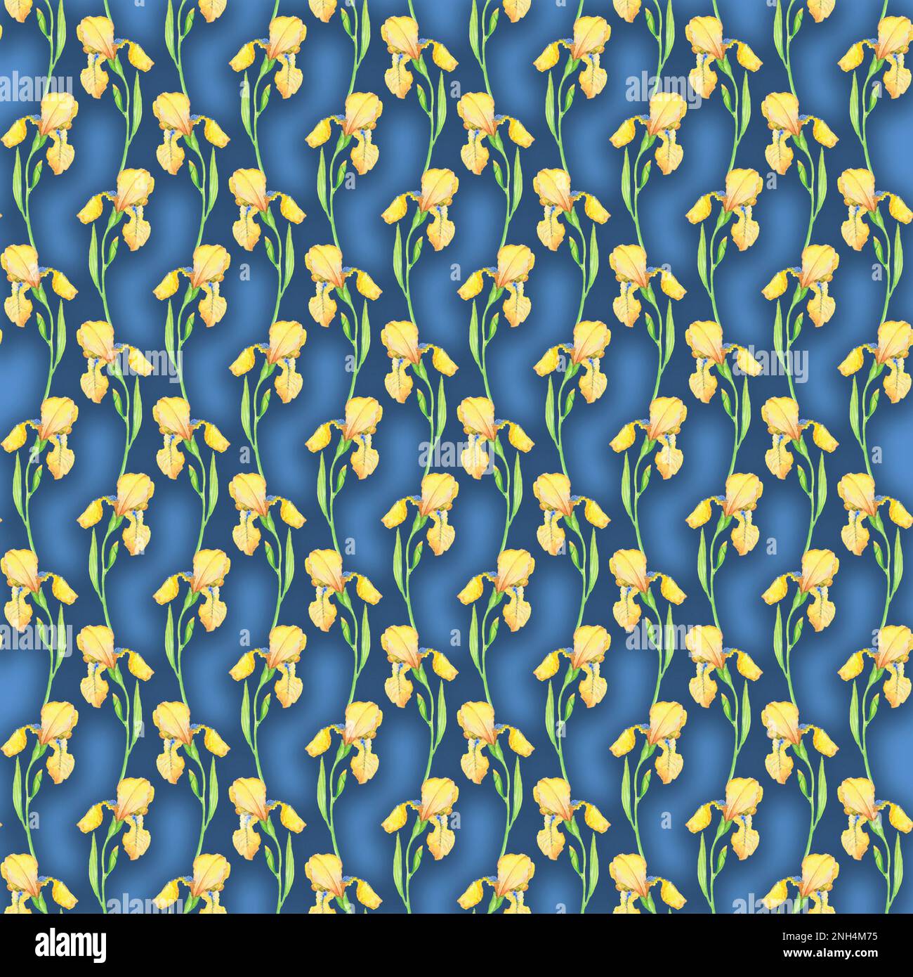 Yellow irises seamless pattern on a blue background, watercolor ...