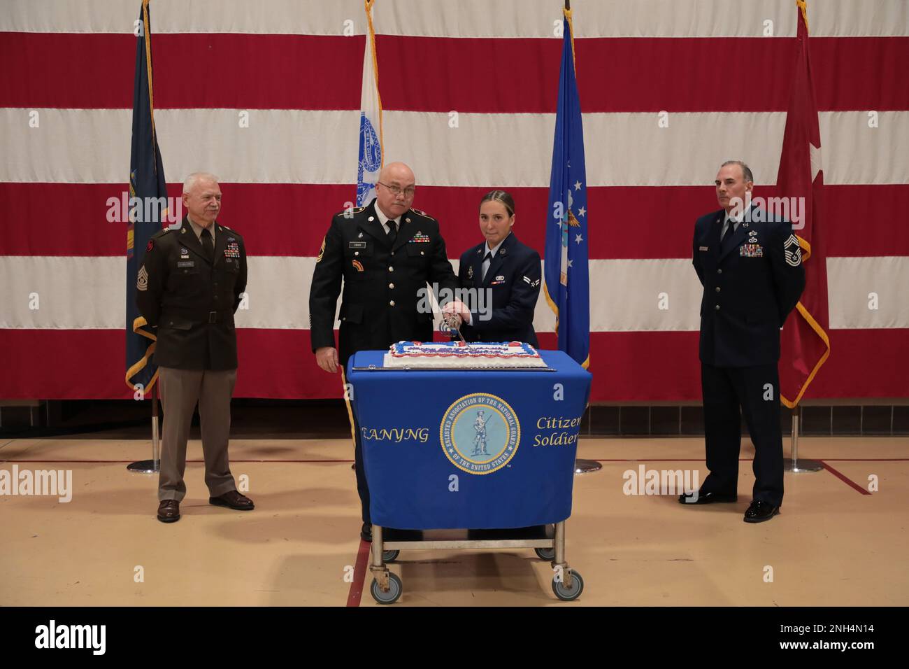 New York Army National Guard Master Sgt. Jerry Swain and Air National ...