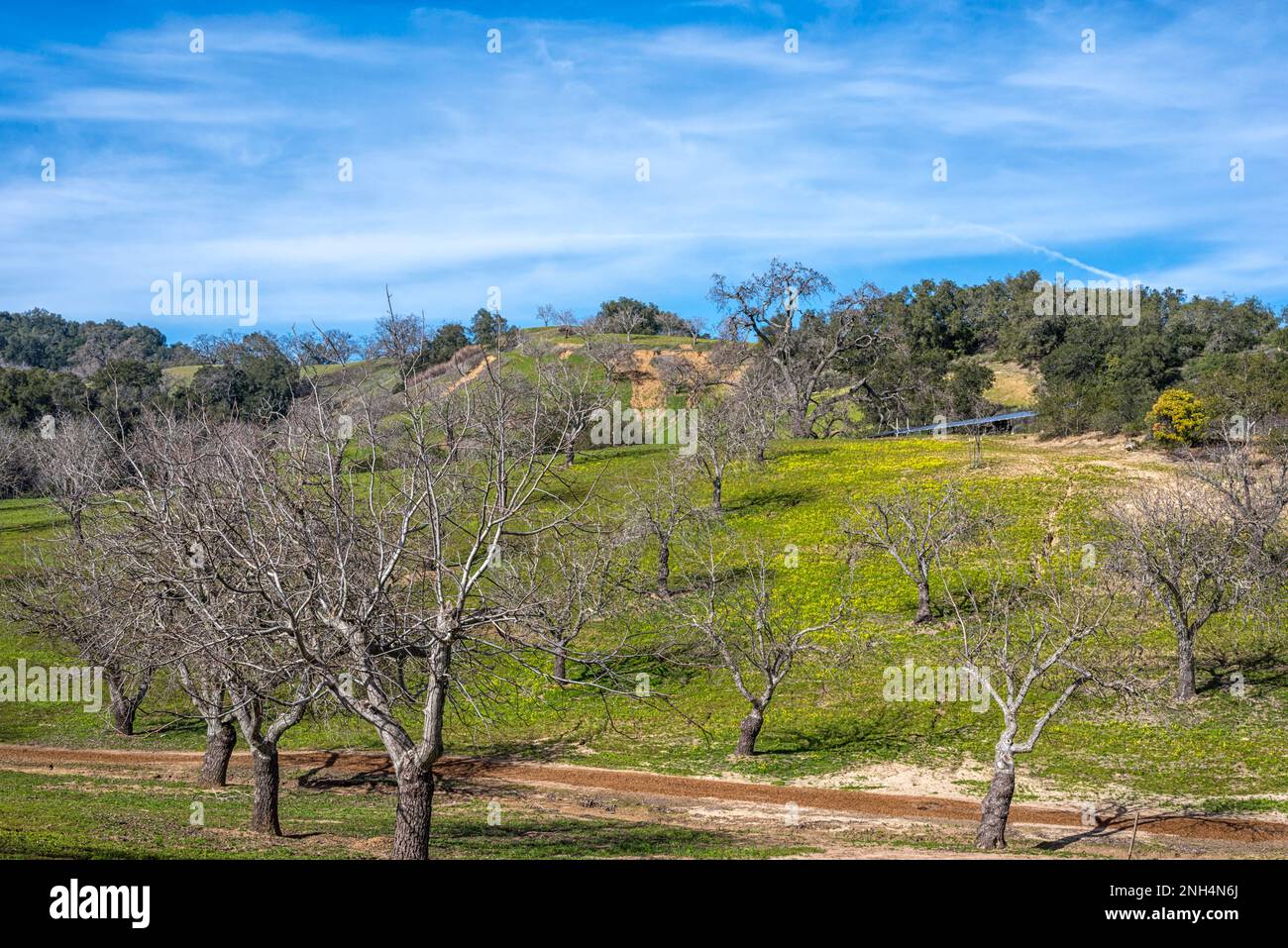 The scenic landscape of Paso Robles, California, USA Stock Photo - Alamy