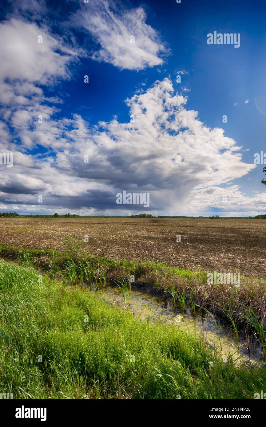 Country Field in Canada Stock Photo - Alamy