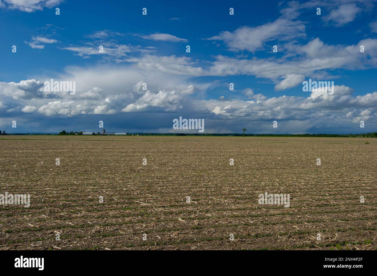 Country Field in Canada Stock Photo - Alamy