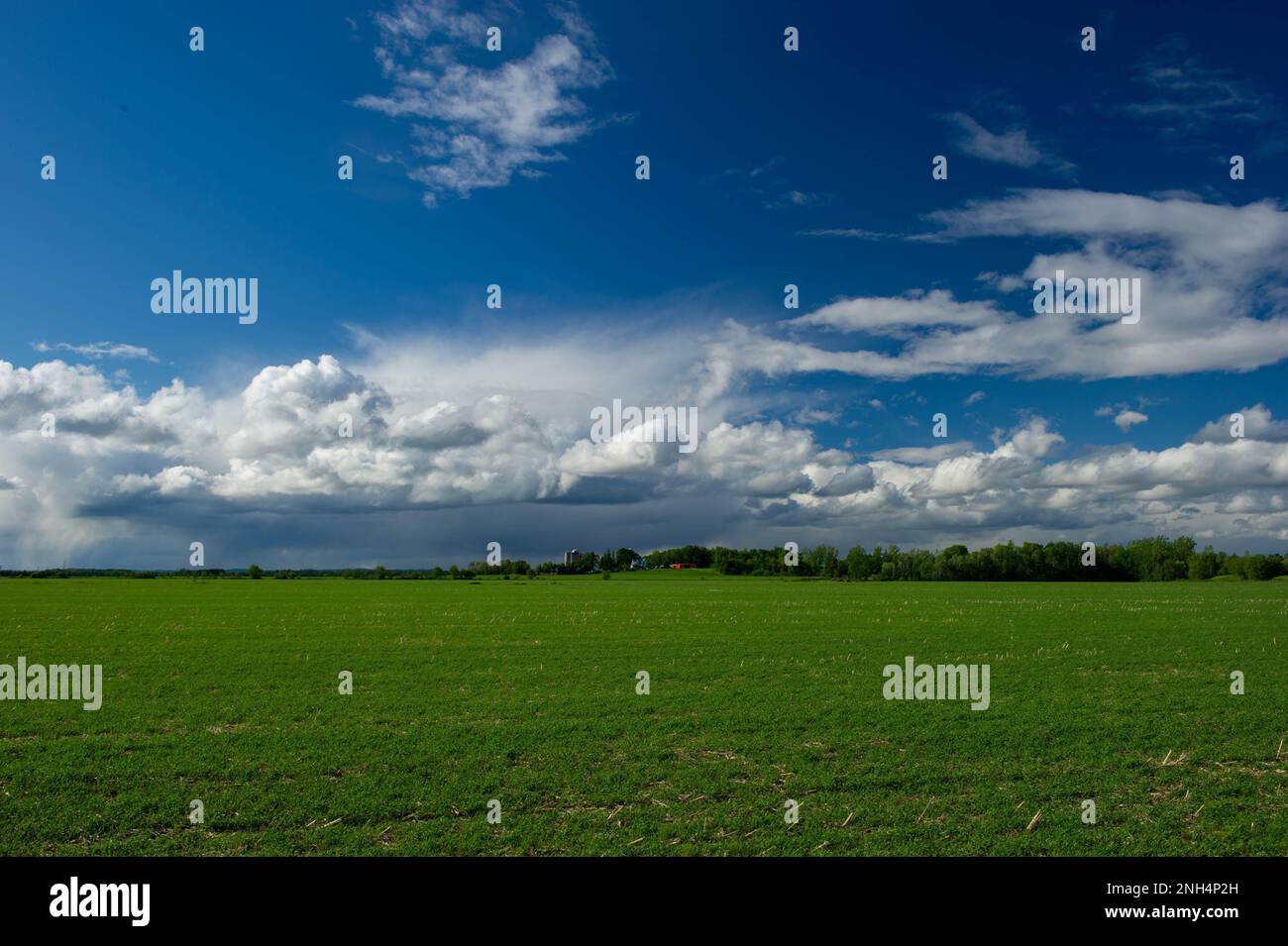 Country Field in Canada Stock Photo - Alamy