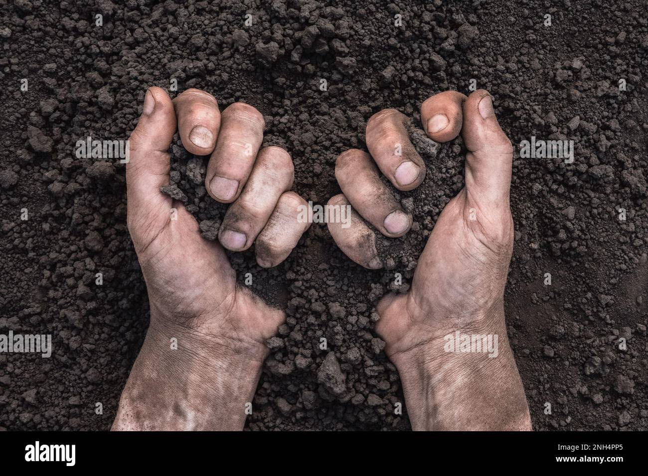 Handful of dirt hands holding soil hands touch the ground. Farmer hands ...